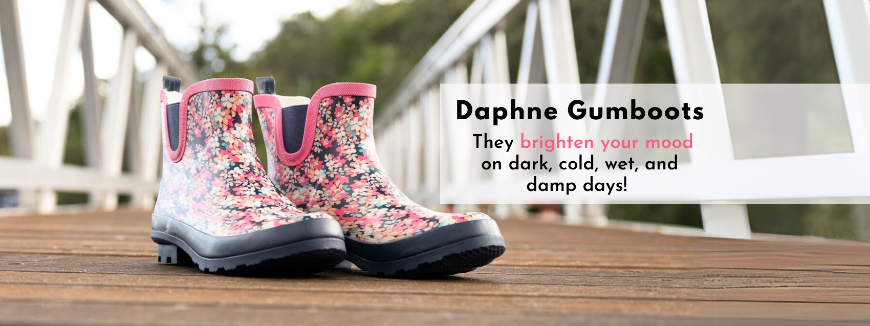 ViviBlu | Shoes You’ll Love to Wear.